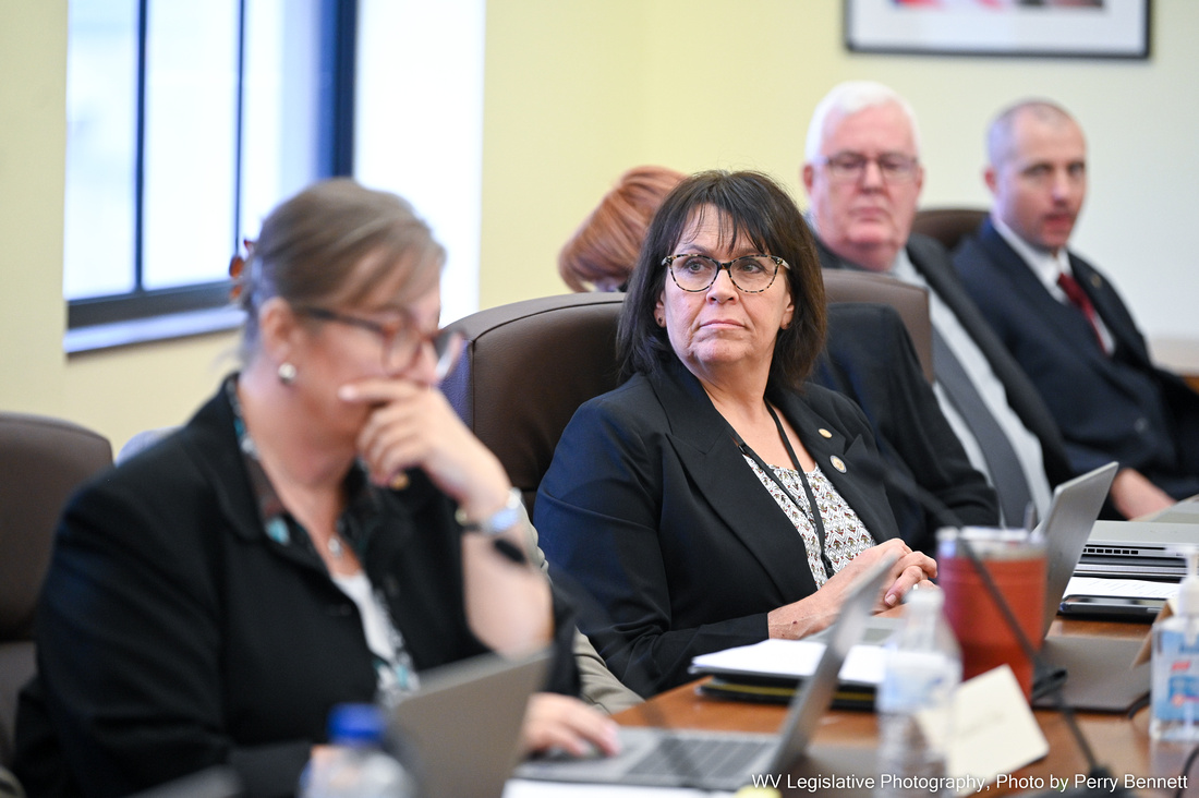 House Economic Development And Tourism Advances E Bike Definition